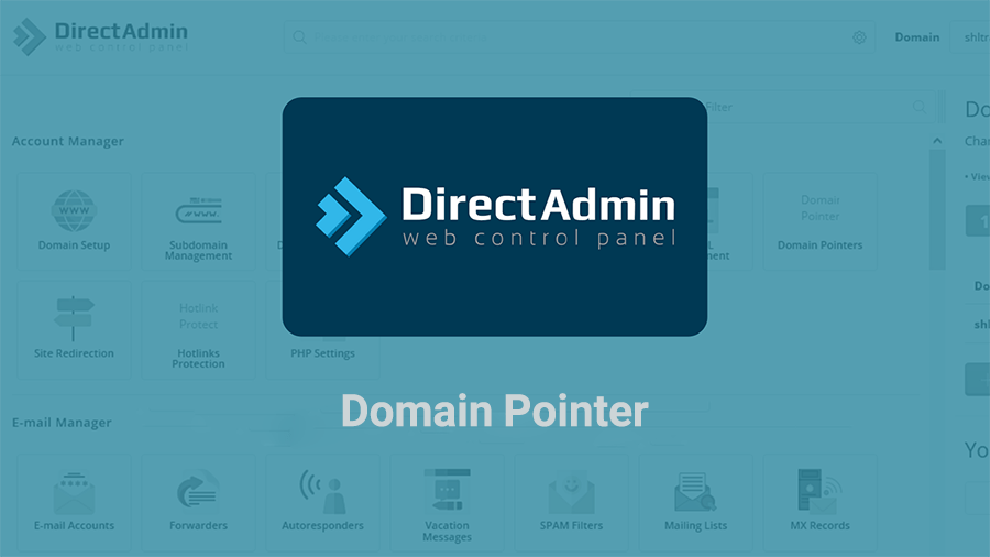  domain Pointer 